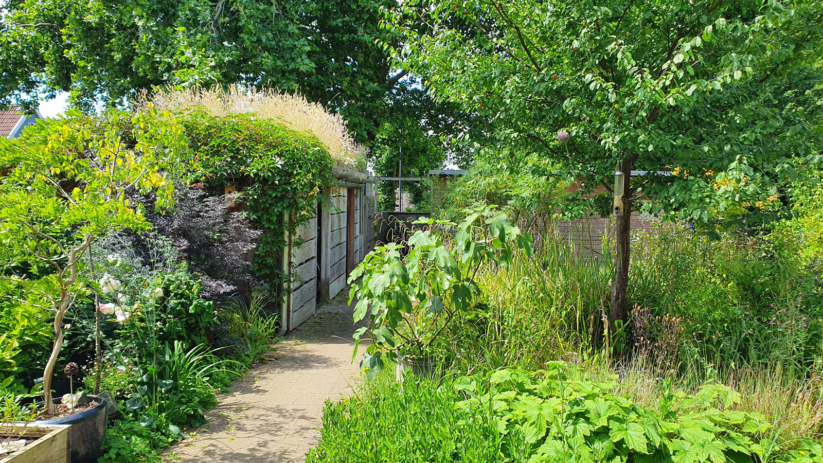 Connecting with Bristol CLT - community led housing london